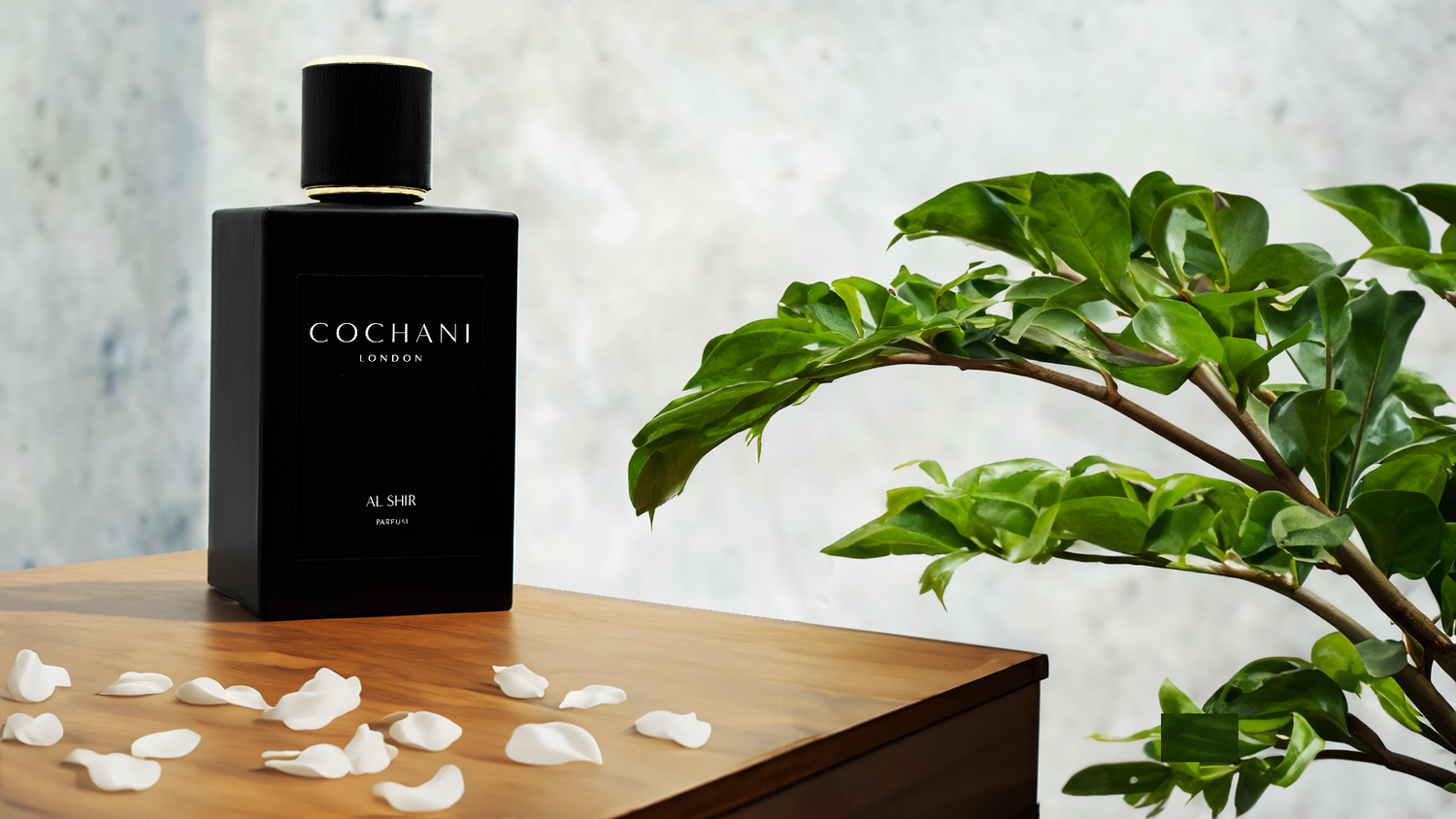 Cochani London - A fresh new look